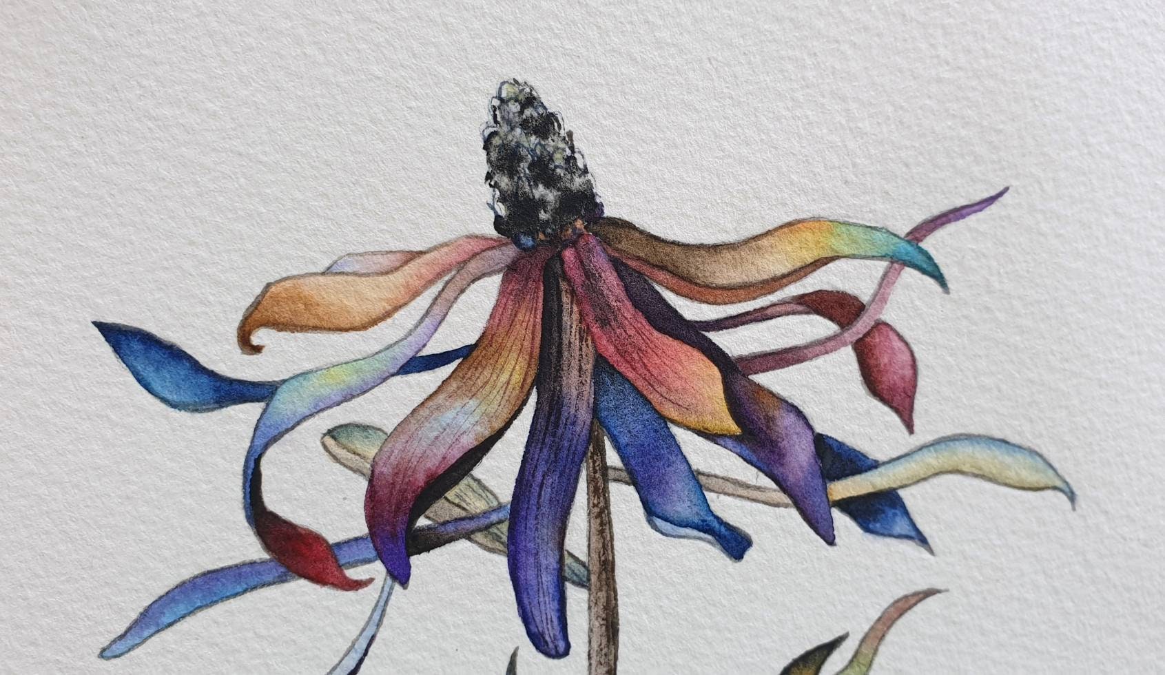 Leucadendron Original Watercolor Painting in Fantasy Style Contemporary ...