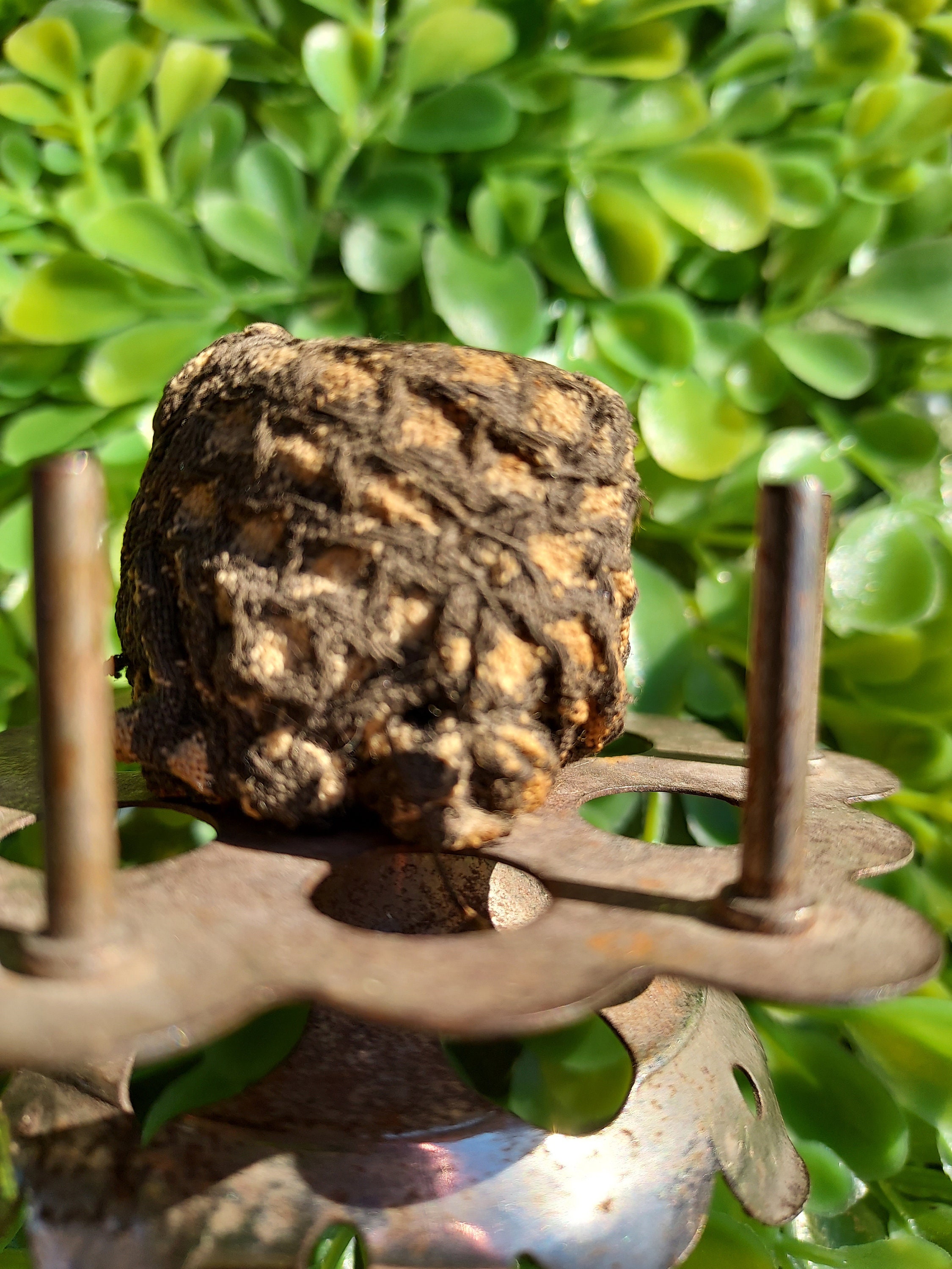 Antique Victorian Swivel Metal Thread Holder W/ Hand-sewn - Etsy