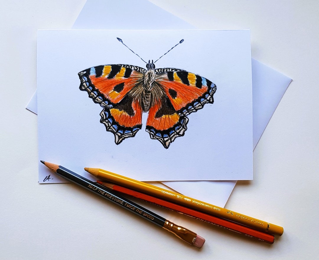 Tortoiseshell Butterfly Original Hand Drawn Coloured Pencil - Etsy