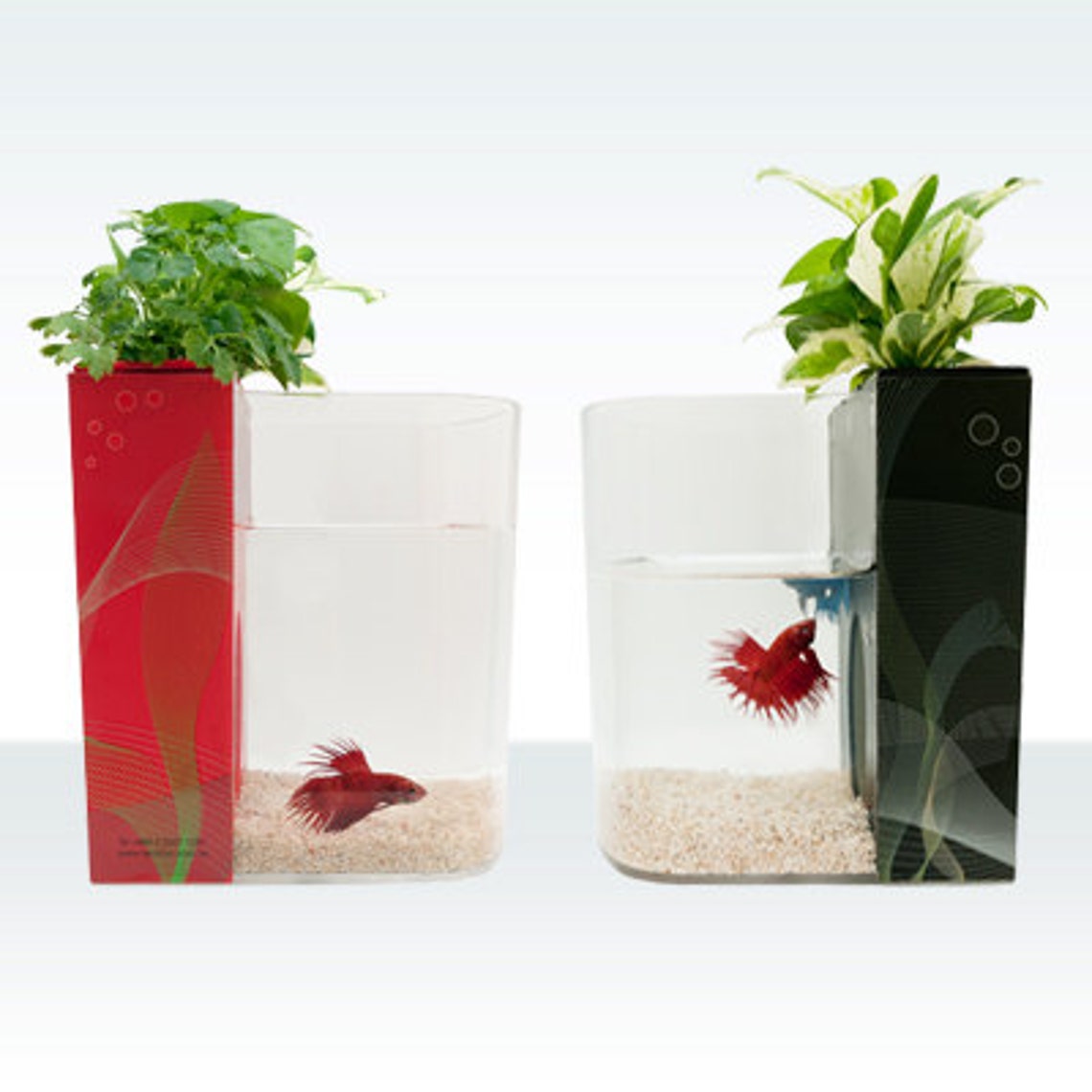 A Dialogue Between Flowers and Fish Aquarium Planter fish | Etsy