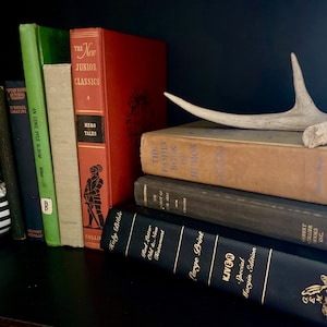 Lot of 10 Vintage Old Rare Antique Hardcover Books - Mixed Color ...