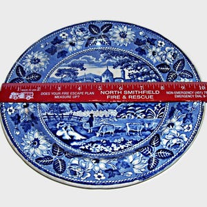 Antique Blue Transferware Plate Falls of Killarney With Waterfall Cows ...