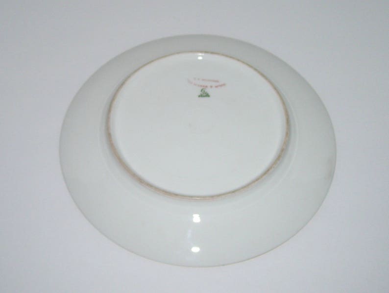Antique George Washington Monogram Limoges Plate National Society of ...