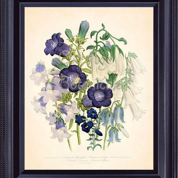 8x10 Flower Print - Etsy