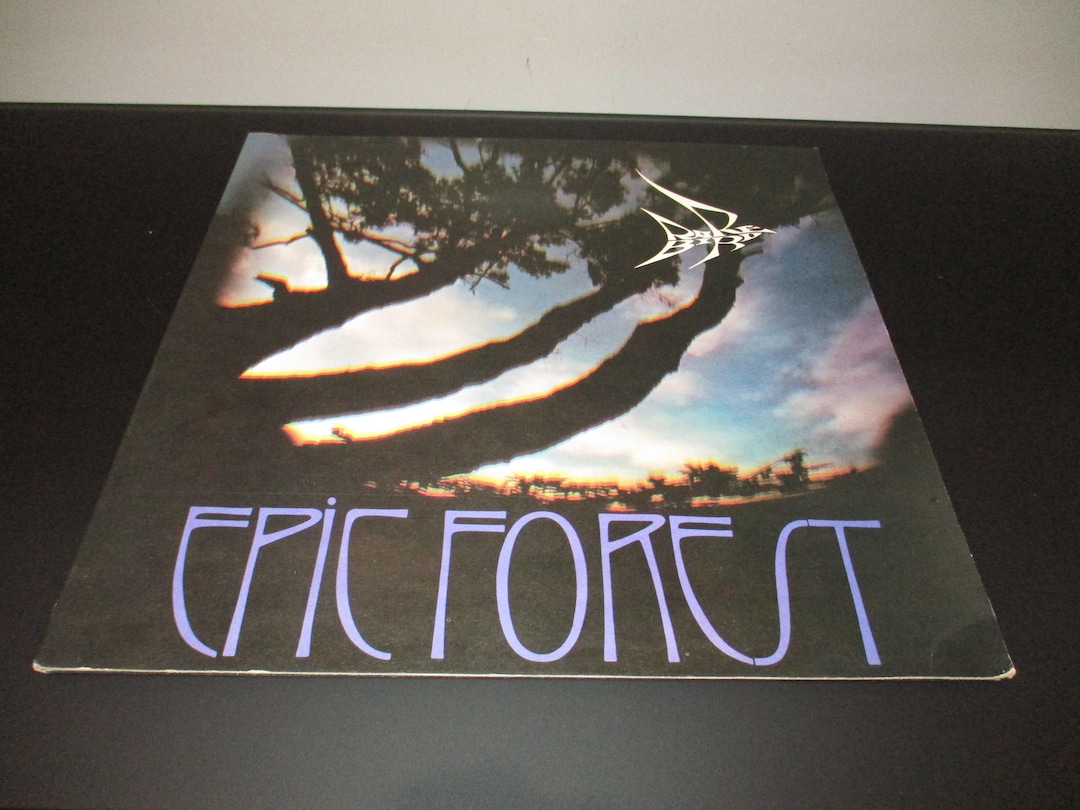 Vintage 1972 Vinyl LP Record Epic Forest Rare Bird Original Pressing ...