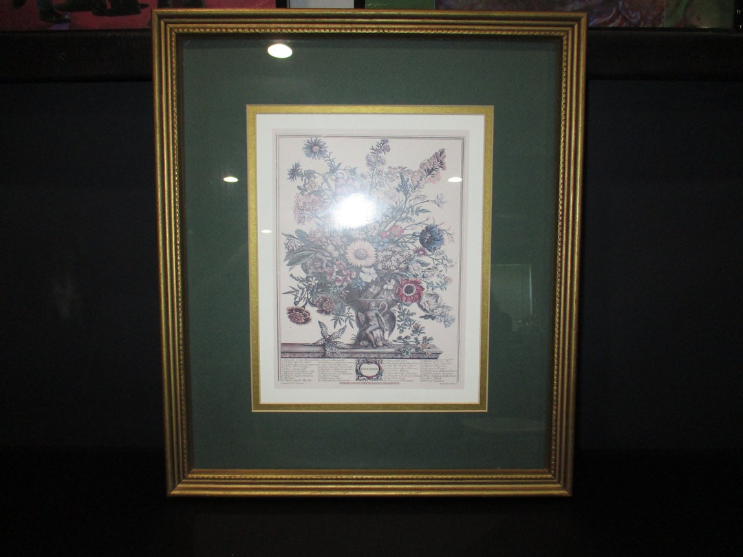 Vintage Robert Furber 12 Months of Flowers Framed November Print Green ...