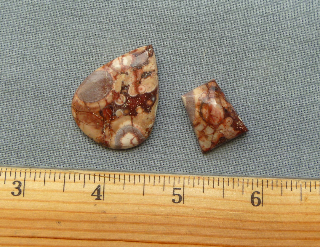 Bird's Eye Rhyolite Cabochon Destash Lot - Etsy