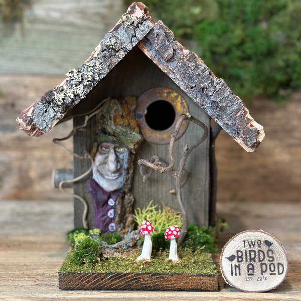 Whimsical Birdhouse - Etsy