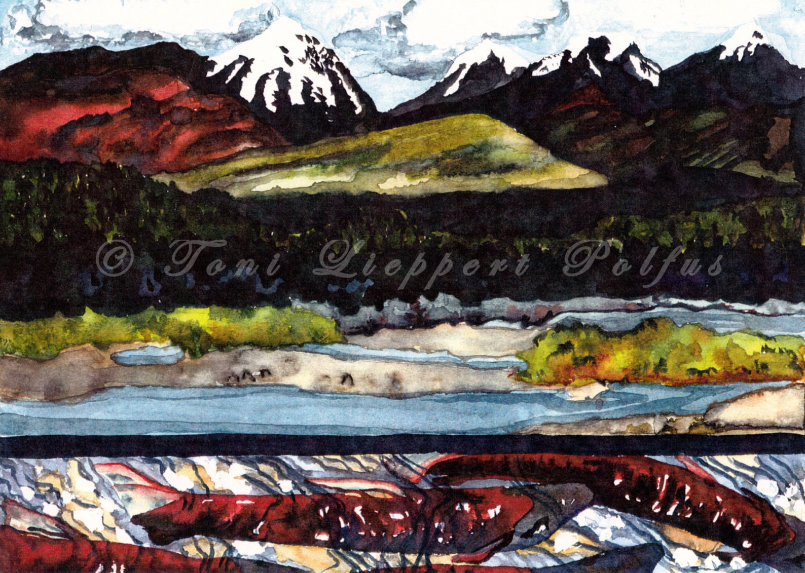 Alaska River Salmon Painting, Print of Original Watercolor Painting ...