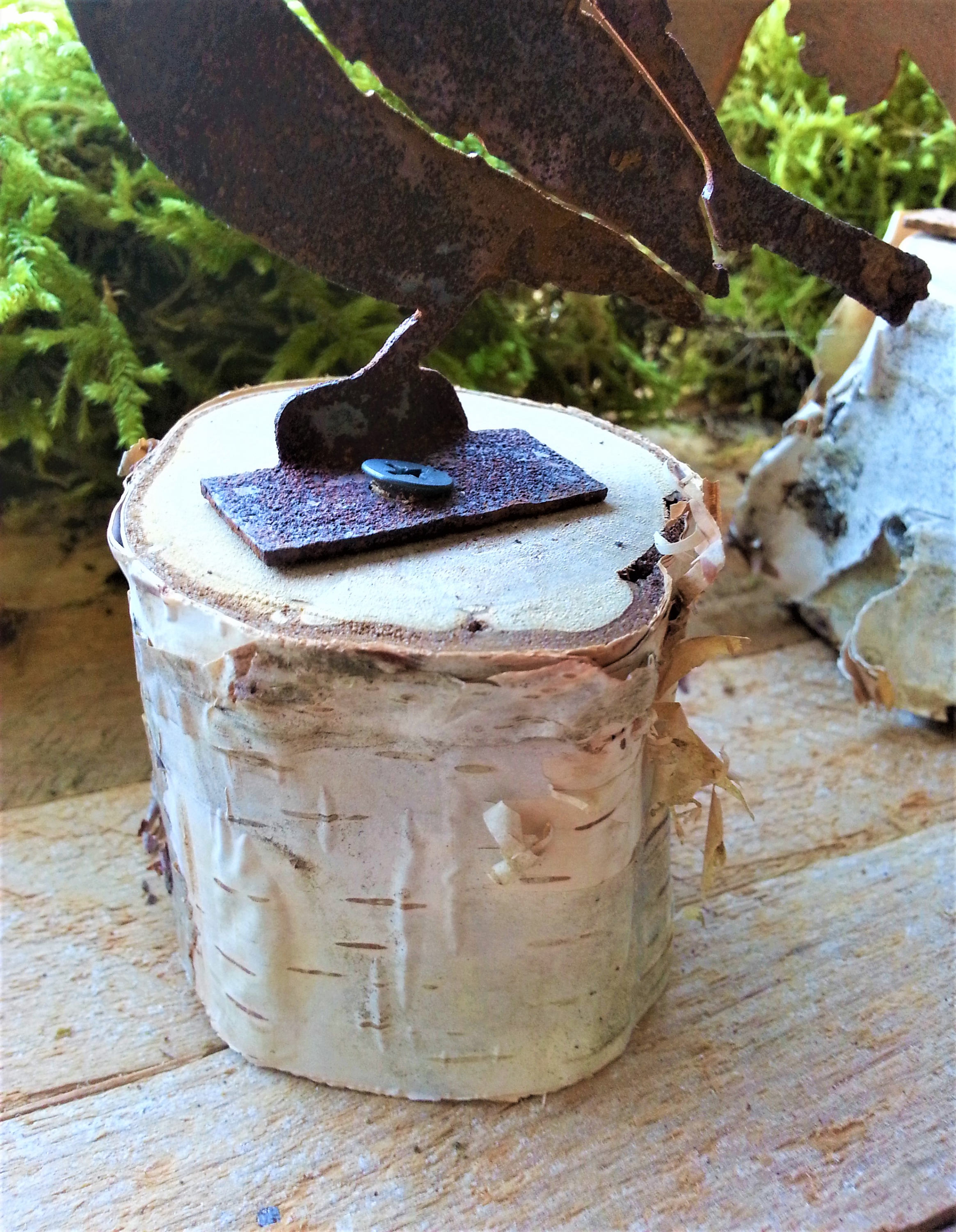 Fir Tree LARGE Gifts for Tree Lovers Tree Lover Gift | Etsy