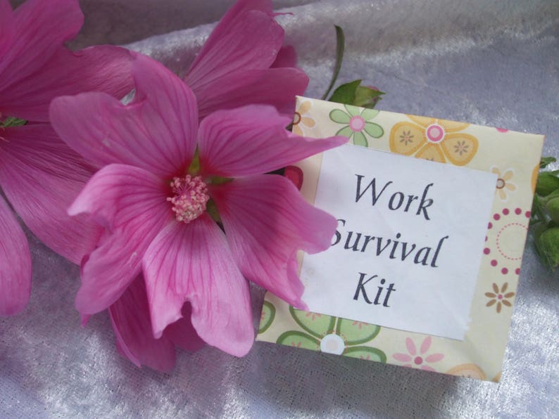 Work Survival Kit - New Job, Leaving Job, Job Promotion, Handmade Gift ...