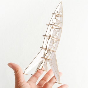 Laser Cut Rocket Ship Model Kit for the Manned Mission to Mars, Mother ...