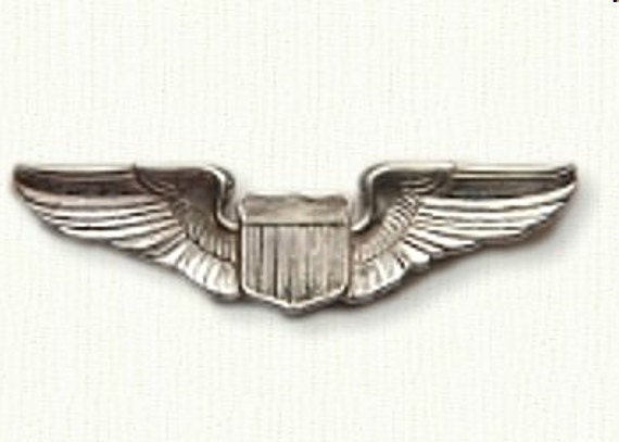 Flying Wings Pin