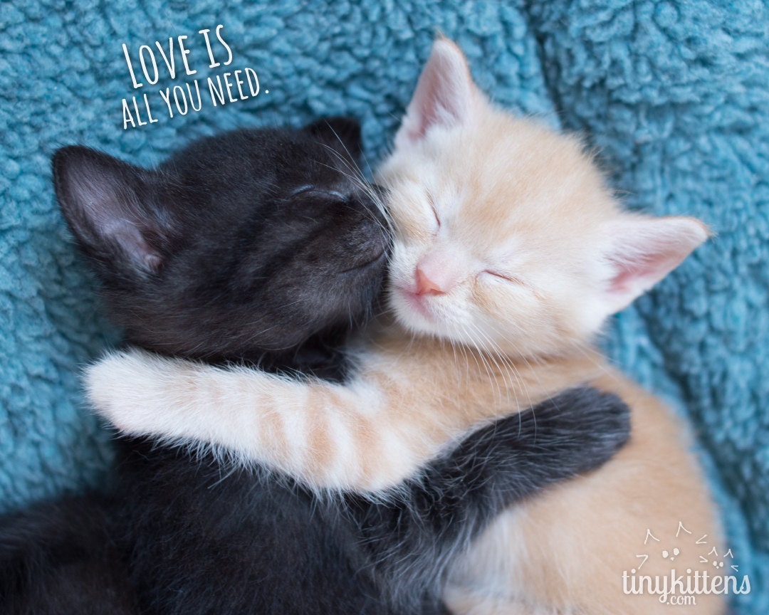 Love is All You Need - Etsy