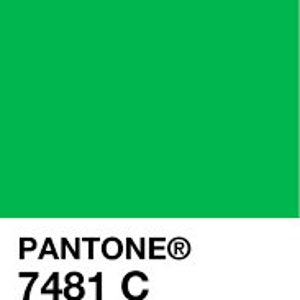 Irish Green Mid Length Leather Gloves - Etsy