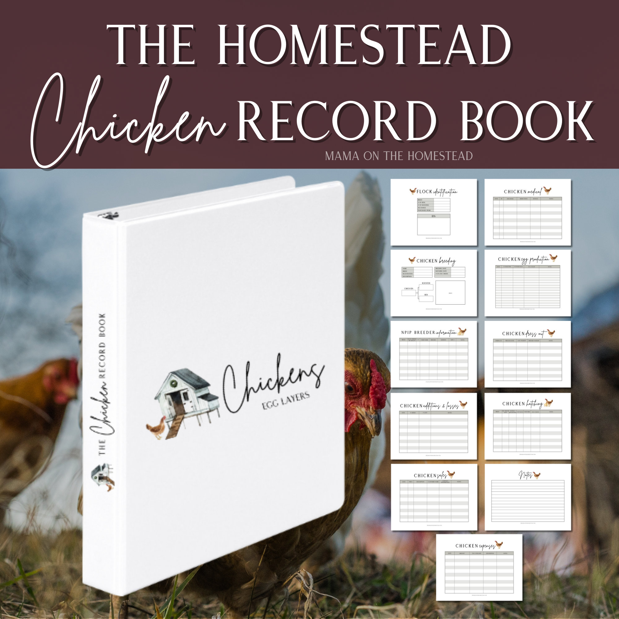 The Homestead Chicken Record Book - Etsy