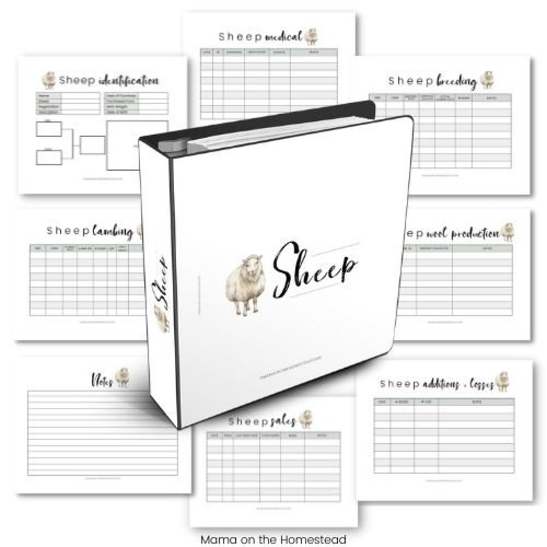 The Homestead Sheep Record Book - Etsy