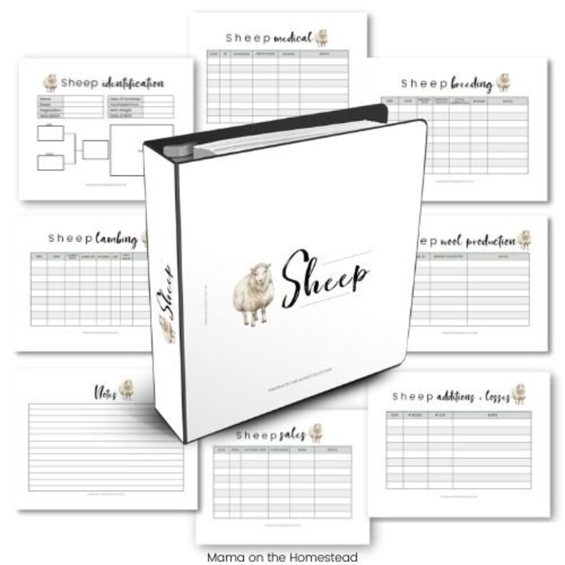 The Homestead Sheep Record Book - Etsy