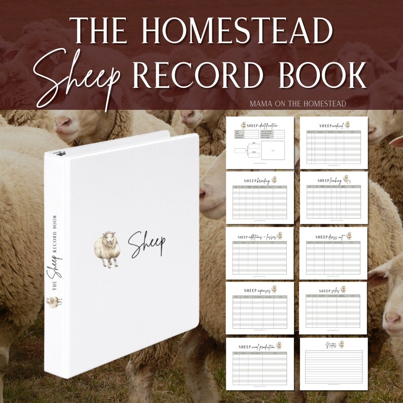 The Homestead Sheep Record Book - Etsy