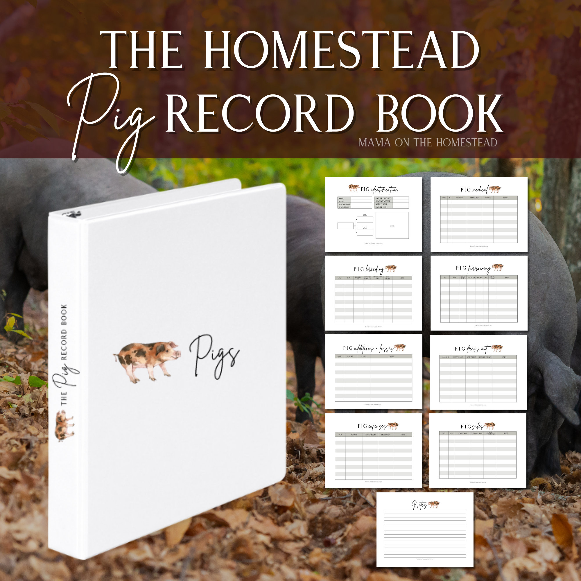 The Homestead Pig Record Book - Etsy