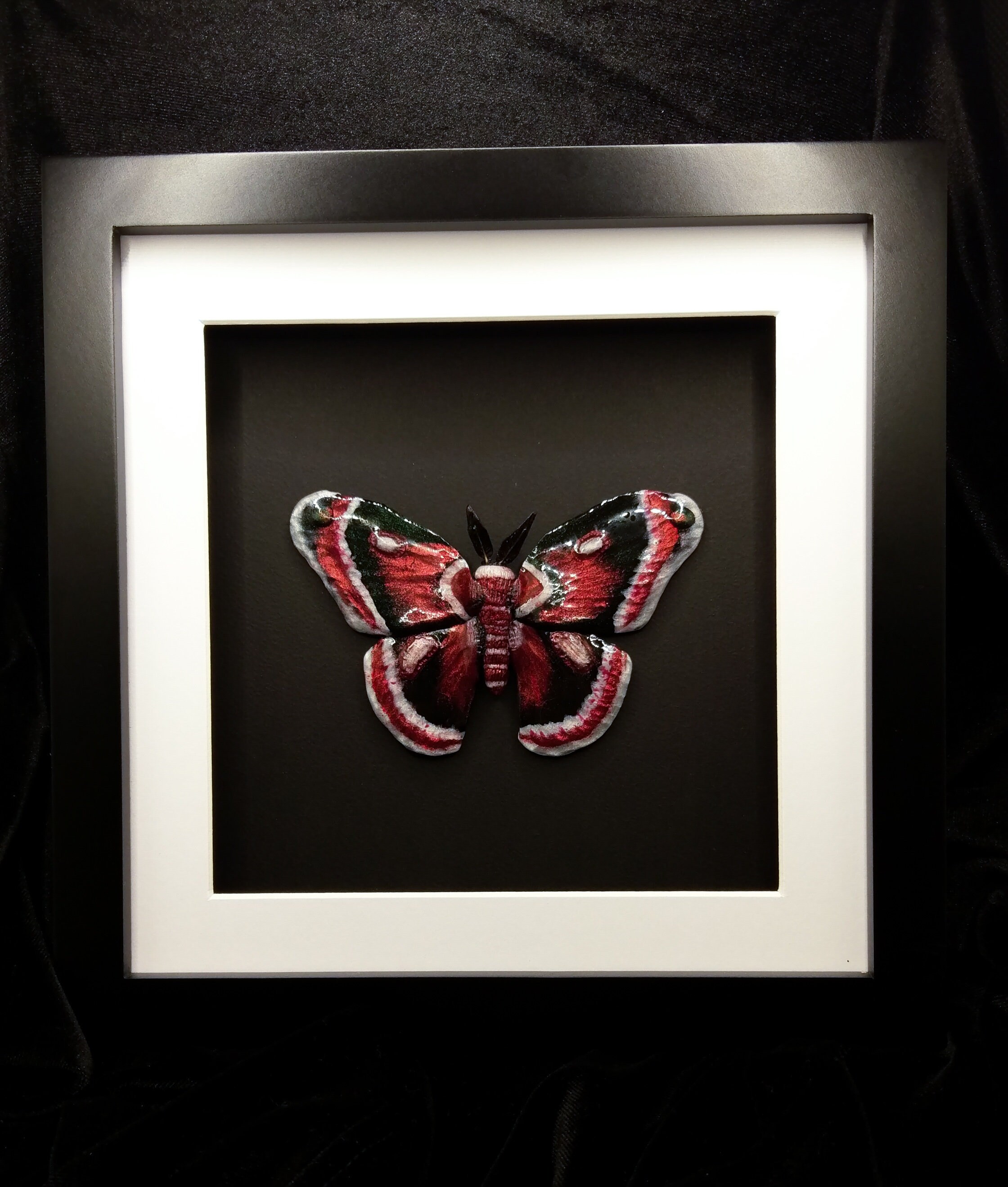 Wall Decor Butterfly Silk Moth Red-black Insect Box - Etsy