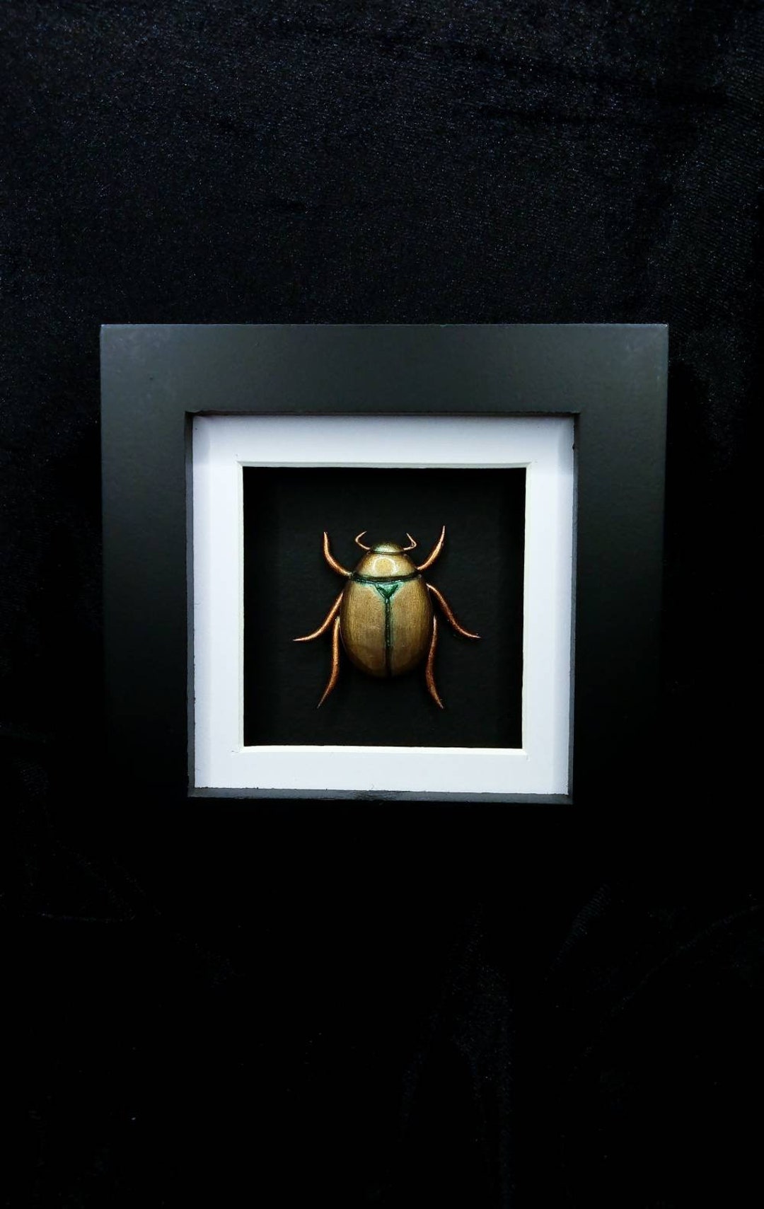 Insect Box Polymerclay Beetle Gold "christmas Beetle" in Picture Frame ...