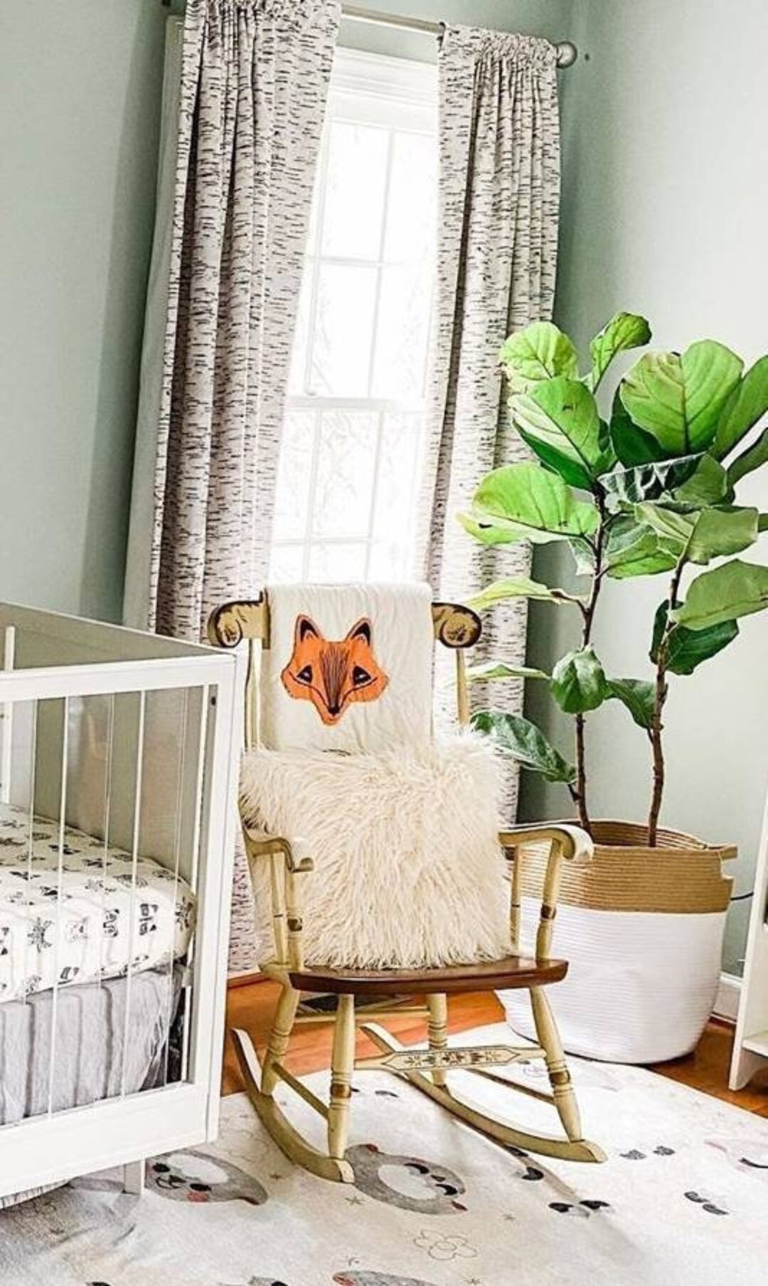 One (1) Curtain Panel - Organic "birch Bark" White Birch Tree Drapery ...