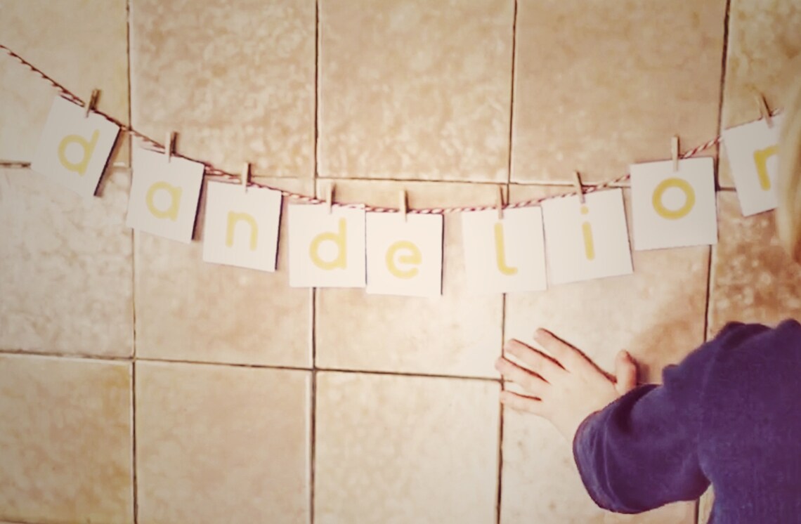 Dandelions | Dandelion Home School Printable | Education | Learning ...