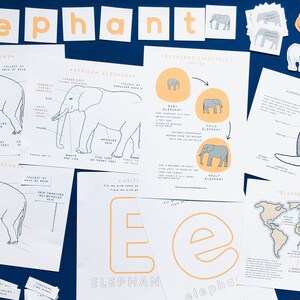 Elephant Printable Home Education Learning Resource - Etsy
