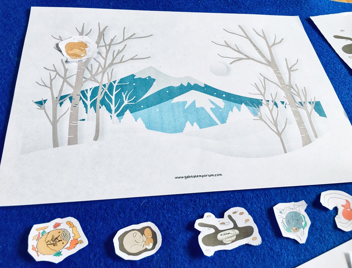 Winter Animals Hibernation Home Education Printable | Etsy