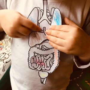 Anatomy Education | Body Parts | Home School | Inside the Body ...