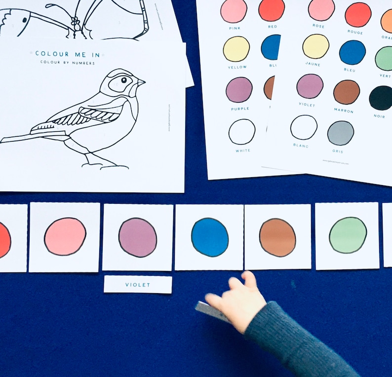 French English Colours Translation Printable | Homeschool | Montessori ...