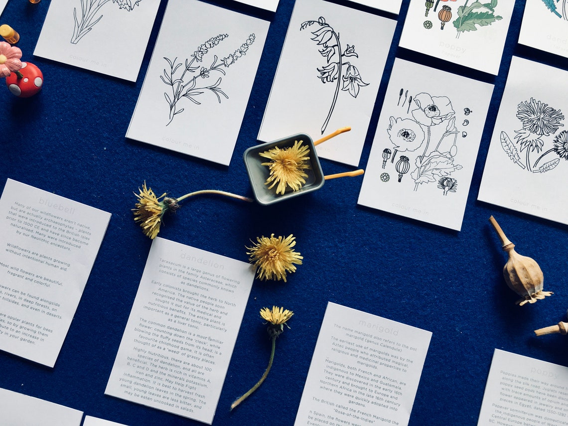 Wildflowers Cards Learning Resource - Etsy