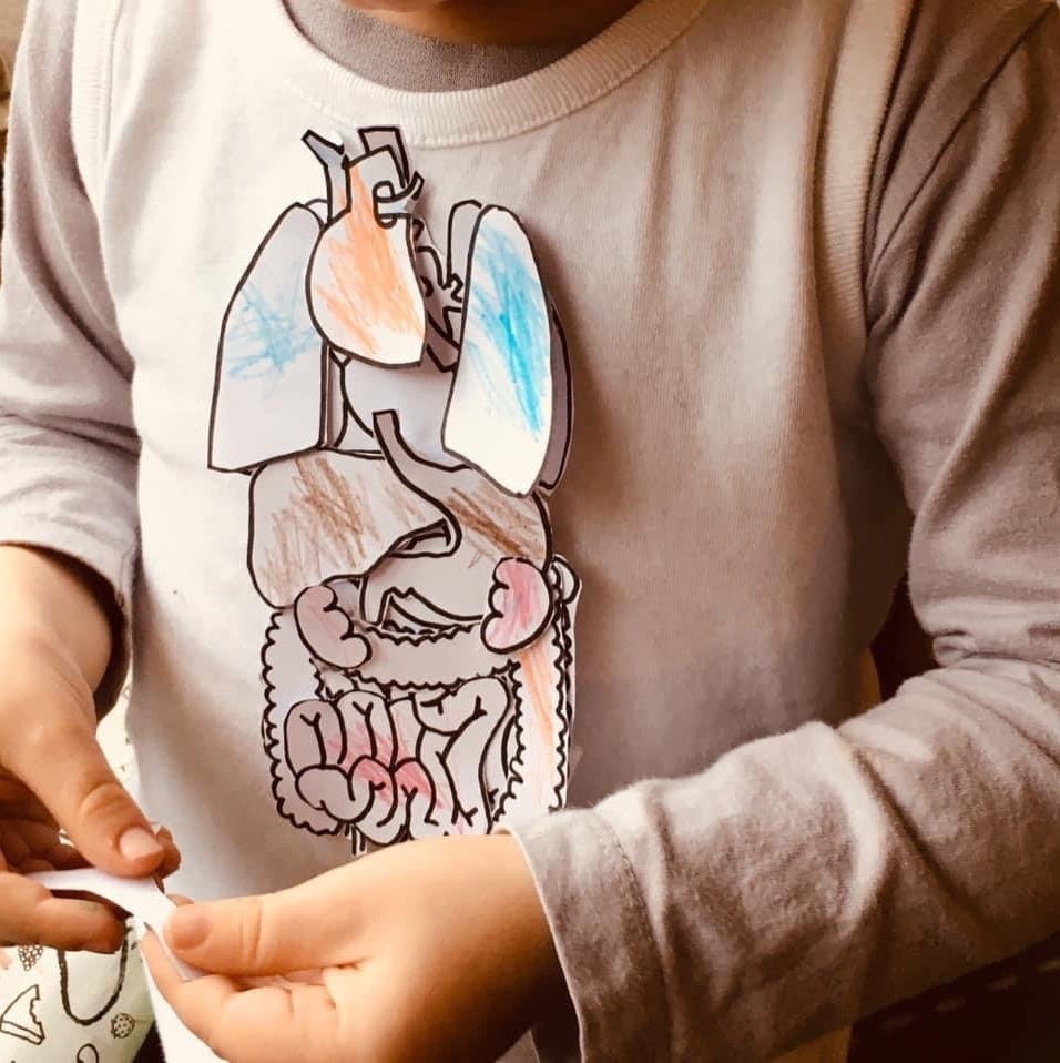 Anatomy Education Body Parts Home School Inside the Body Montessori ...