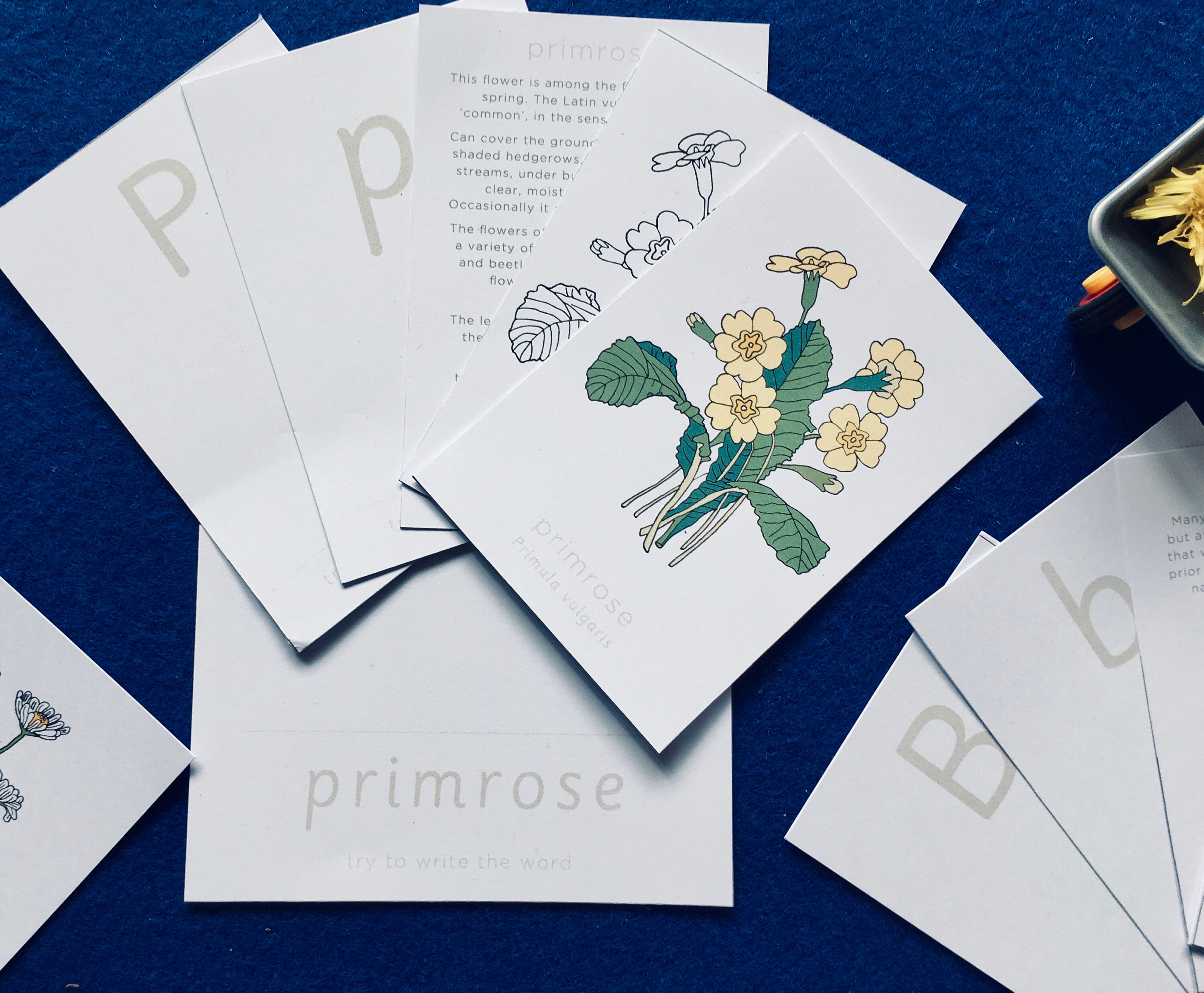 Wildflowers Cards Learning Resource - Etsy