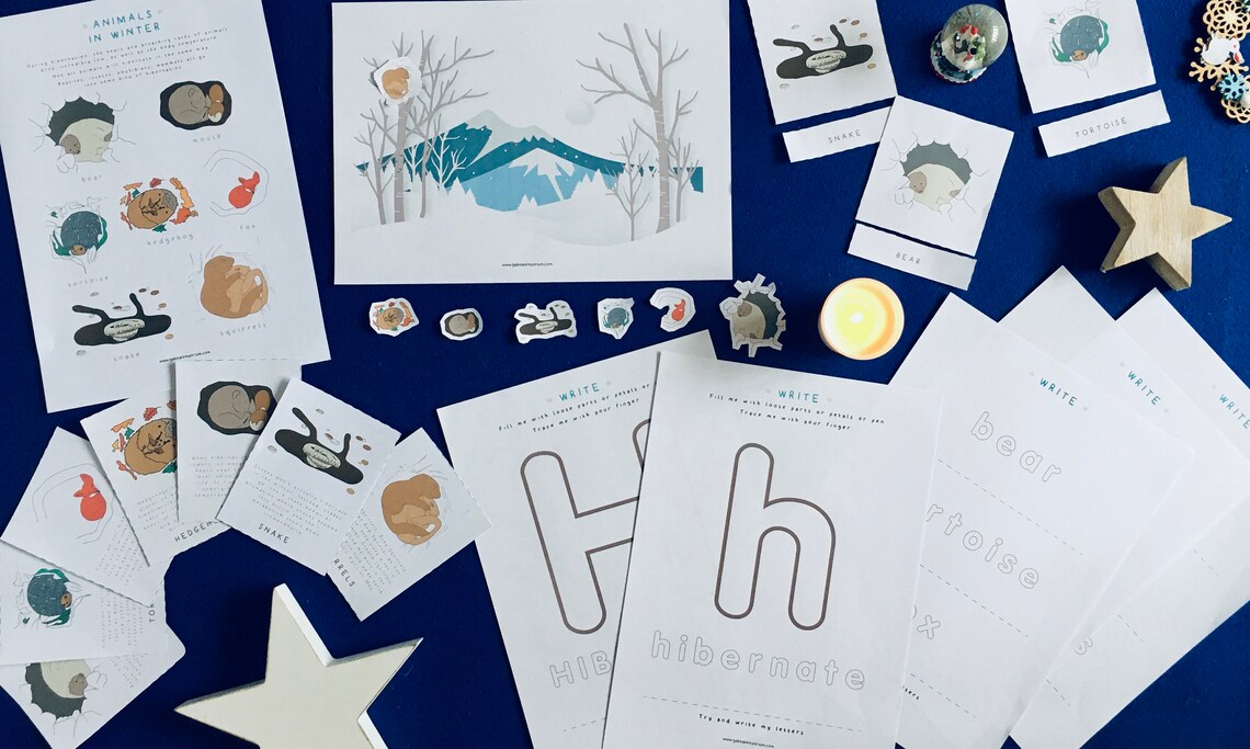 Winter Animals Hibernation Home Education Printable | Etsy