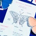 Butterflies Anatomy Printable | Homeschooling Activities | Insect Study ...