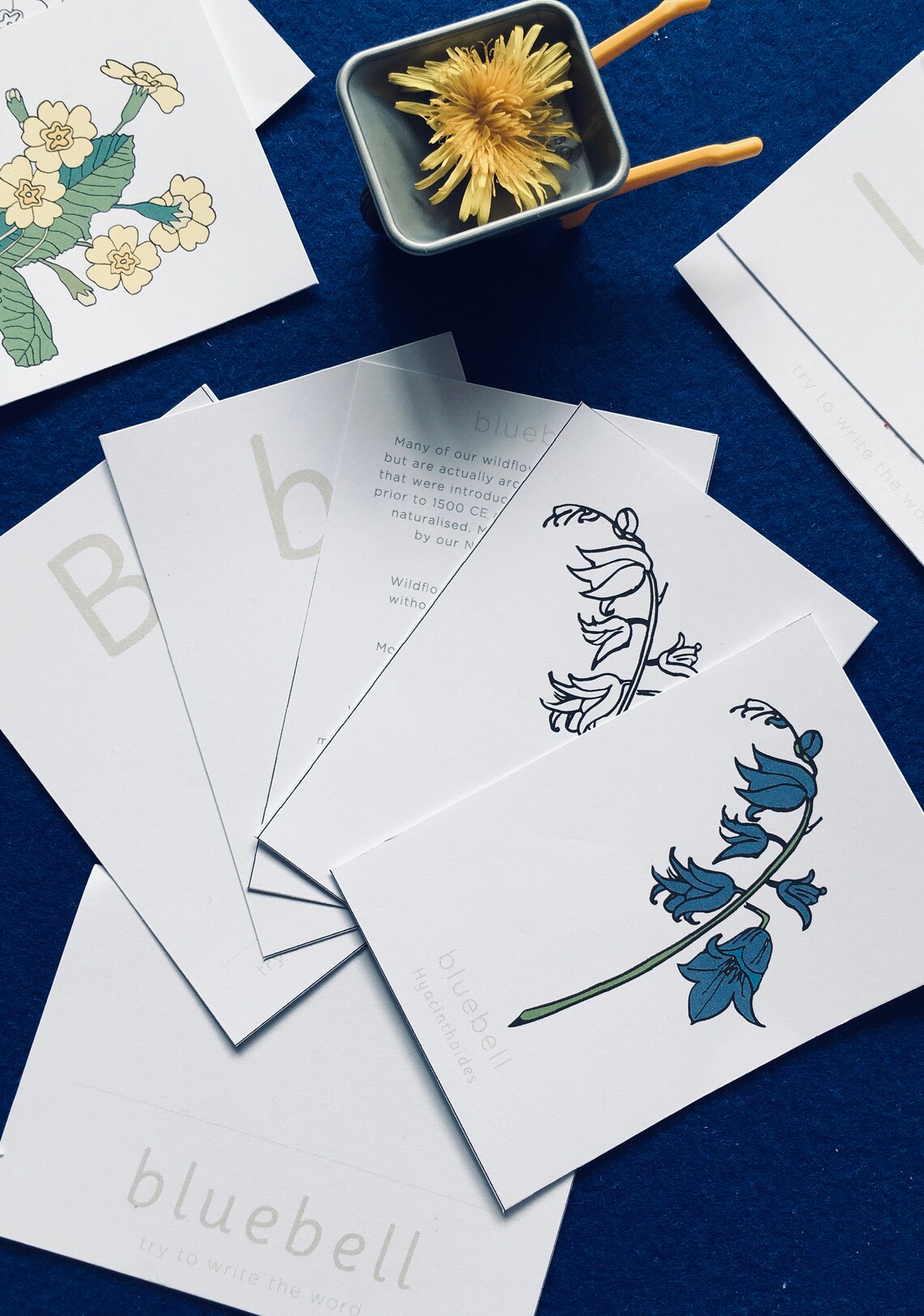 Wildflowers Cards Learning Resource - Etsy