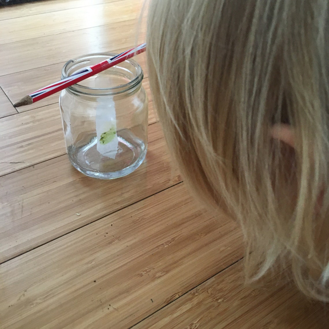 STEM Autumn Equinox Printable Paper Chromatography Home | Etsy