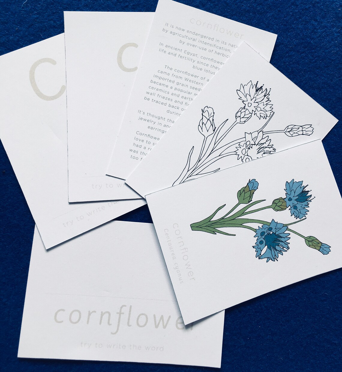 Wildflowers Cards Learning Resource - Etsy