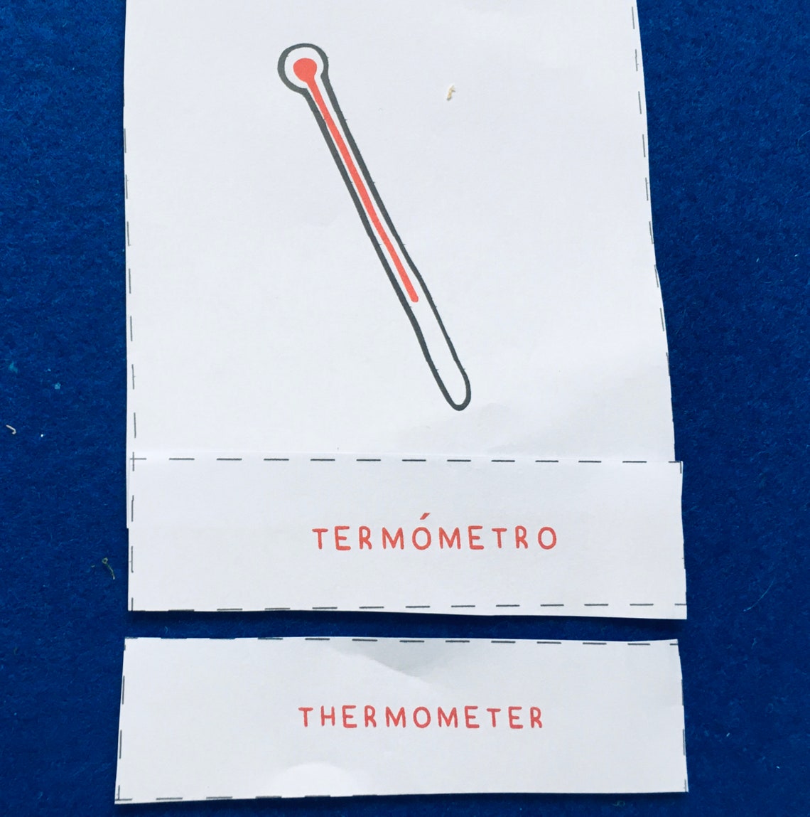 Spanish and English First Aid Kit Home Education Printable Homeschool ...