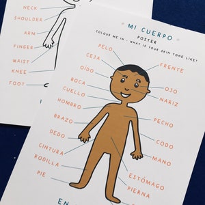 Spanish English | Inside My Body Anatomy | Homeschool | Montessori ...