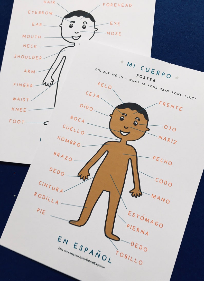 Spanish English | Inside My Body Anatomy | Homeschool | Montessori ...