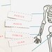 Spanish and English Skeletal Anatomy Home Education Learning Resource ...