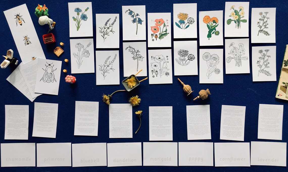 Wildflowers Cards Learning Resource - Etsy