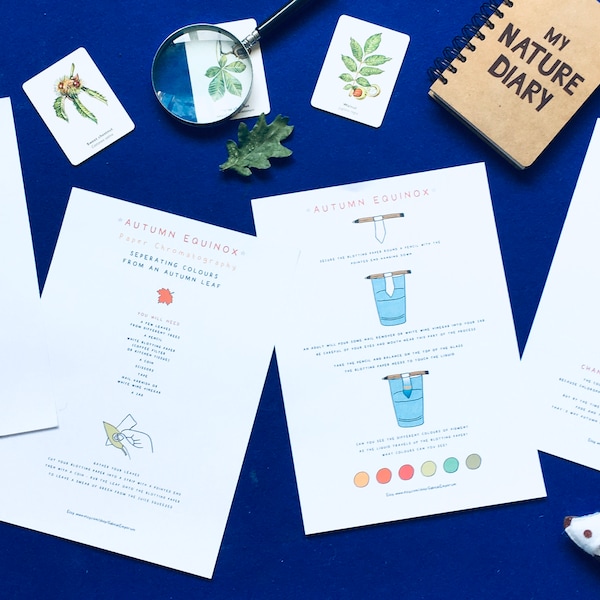 Chromatography - Etsy