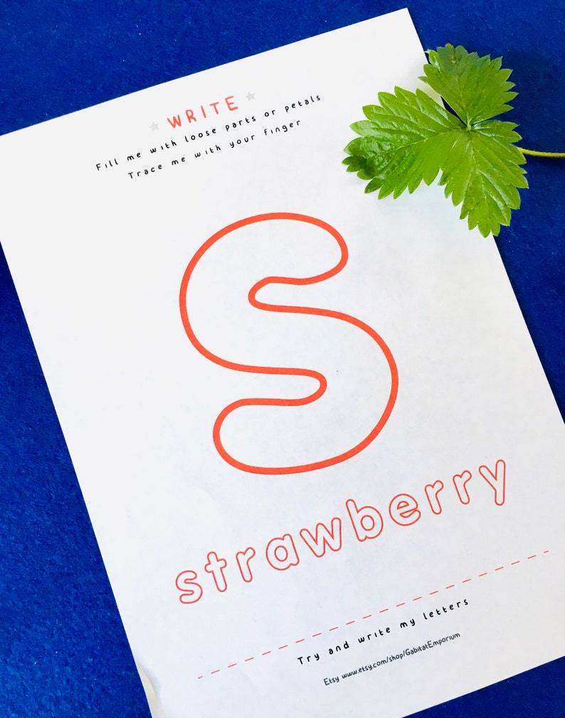 Strawberry Anatomy and Life Cycle Home Education Printable - Etsy