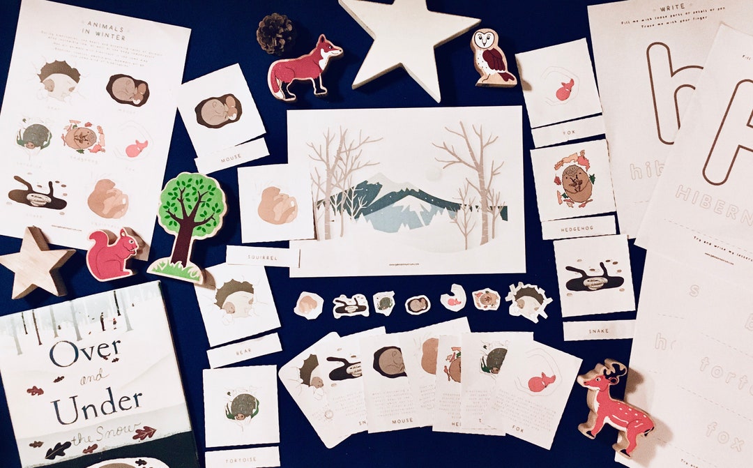 Winter Animals | Hibernation | Home Education Printable - Etsy