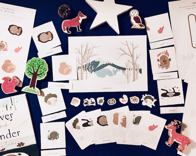 Winter Animals Hibernation Home Education Printable - Etsy