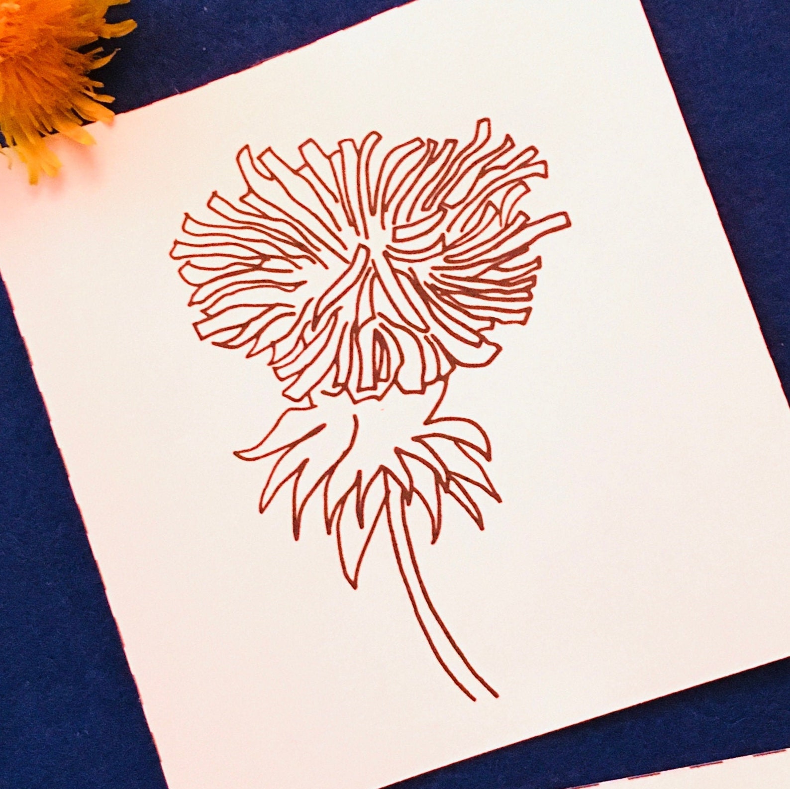 Dandelions Dandelion Home School Printable Education | Etsy